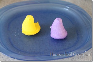 Preschool Corner: Peeps and the Real Meaning of Easter